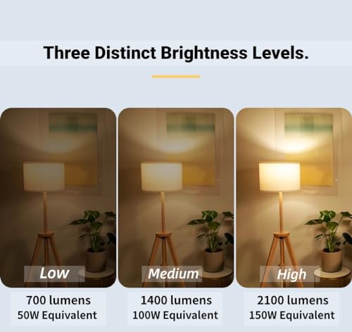 3 Way LED Light Bulb 50 100 150W Equivalent, Replacement Incandescent,A19 Light Bulb 5/10/15W 3000K Soft White E26 Medium Base, 4 Pack