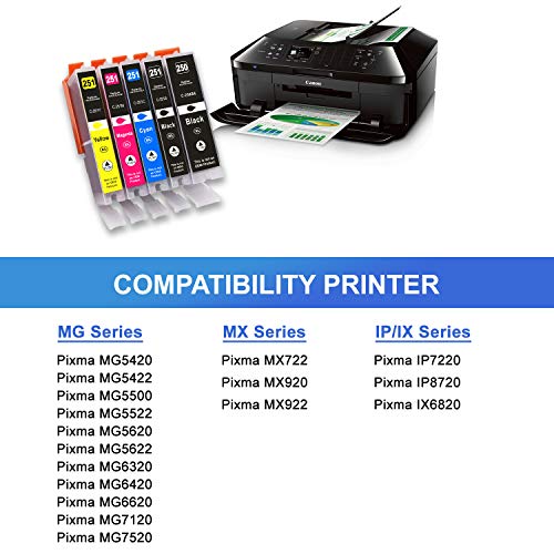 Arthur Imaging Compatible Ink Cartridge Replacement for 250XL 251XL (3 Large Black, 3 Small Black, 3 Cyan, 3 Yellow, 3 Magenta, 15-Pack)