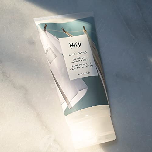 R+Co Cool Wind pH Perfect Air Dry Hair Cream (5 Oz) | Hydrates + Tames + Softens | Vegan + Cruelty-Free |