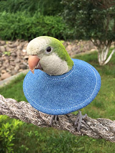 HEZHUO Adjustable Parrot Cone Collar, Safe and Practical Cotton Collar to Prevent Bites and Licking Wounds, to Help heal (XS)