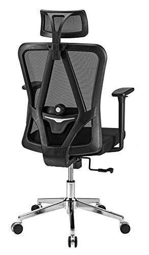 Halter Ergonomic Office Chair with Lumbar Support, Executive Mesh Desk Chair Computer Chair with Swivel, Headrest, and Armrests, Height Adjustable Comfortable Task Chair with Rolling Casters, Black