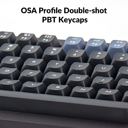 Keychron Q1 RGB Wired Custom Mechanical Keyboard, QMK/VIA Programmable Macro with 75% Layout Hot-swappable Gateron G Pro Blue Switch Double Gasket Compatible with Mac Windows Linux (Black) -Version 2