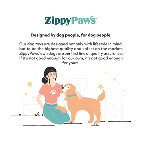 Birthday Cake Plush Toy with Squeaker for Dogs by Zippy Paws (Pink)