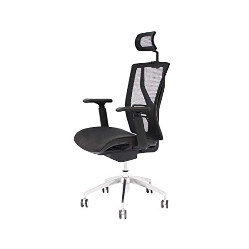 CangLong Mesh Office Chair High Back Desk Chair with 2D Adjustable Headrest and 3D Armrest Swivel Computer Task Chair, BIFMA Certification No 5.1, Black