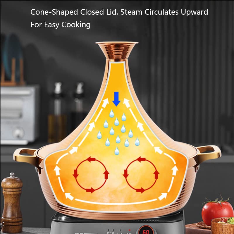22cm Stainless Steel Tagine Pot Moroccan Tajine Cooking Cookware with Cone-Shaped Closed Lid for Stew Casserole Slow Cooker, 1-2 People Use