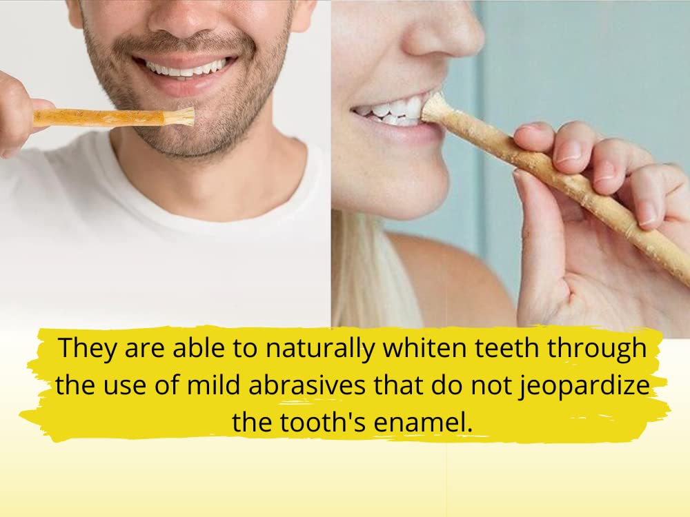 Organic Herbs Traditional Natural Miswak (sewak) Peelu Chewing Stick Toothbrush for Whiter Teeth (Pack of 3)