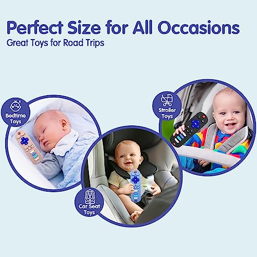 Baby Teether Toys - TV Remote Control Shape Silicone Toddler Teething Toys for Babies 6-12 Months (Black + Dark Purple)