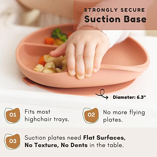 RAiN.B. MellowMate Pure Platinum Silicone Suction Plate for Baby & Toddlers|Divided Baby Dish with 3 Compartments|BPA-Free Non-Slip Baby Eating Supplies|Microwave & Dishwasher Safe – Cloudy Grey
