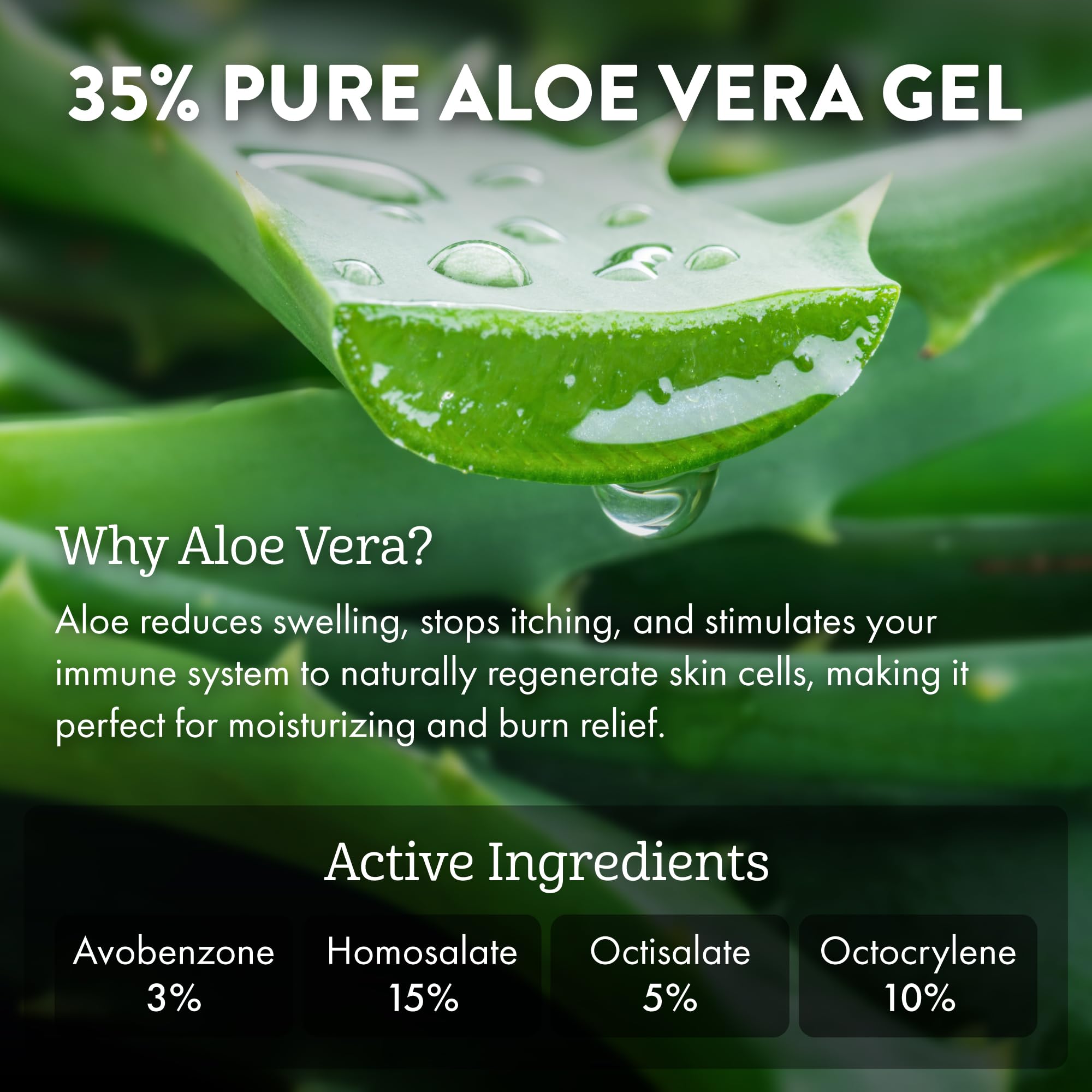 Aloe Up Sport Sunscreen Lotion SPF 50 - Broad Spectrum UVA/UVB Sunscreen Protector for Face and Body - With Hydrating Aloe Vera Gel - Non-Greasy - No White Cast - Reef Safe - Fragrance-Free - 6 Oz.