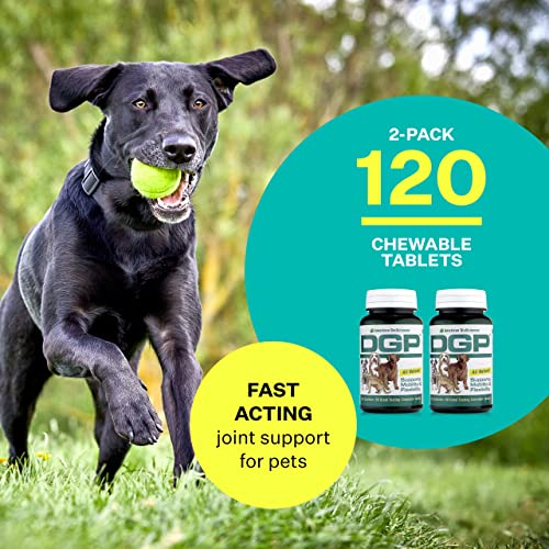 American BioSciences DGP, Joint Supplement for Dogs - Joint Support with Turmeric, Boswellia Extract & More - Quick Effect for Immediate Mobility Support - 60 All-Natural Chewable Pet Tablets (2 Pack)