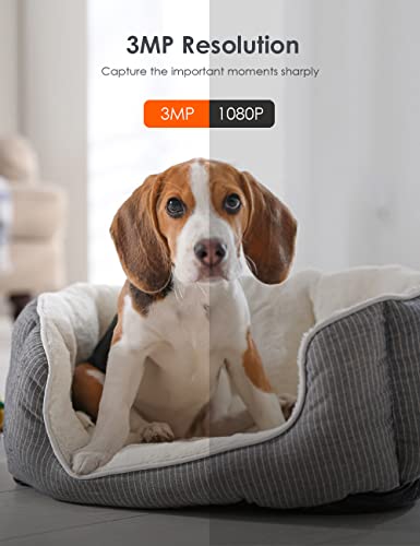 BabyTime Pet Camera, Indoor 2K 360° Wi-Fi Smart Camera with Night Vision, Motion Detection, Two-Way Audio, Compatible with Alex