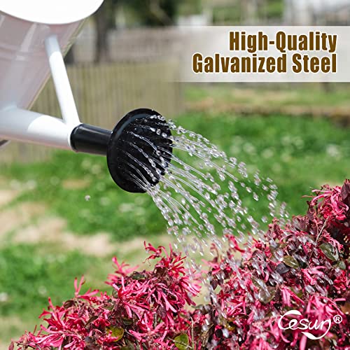 Cesun 1 Gallon Galvanized Metal Watering Can for Outdoor Plants (White and Black) – Decorative Farmhouse Style Watering Pot with Removable Spout - Perfect for Outdoor Use
