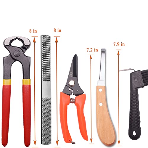 8 inch Farrier Tool Kits (7 Piece) Mini Rasp Hoof File Goat Pig Equine Metal Shears Professional Farriers Hoof Nipper Cutter Handle Knife