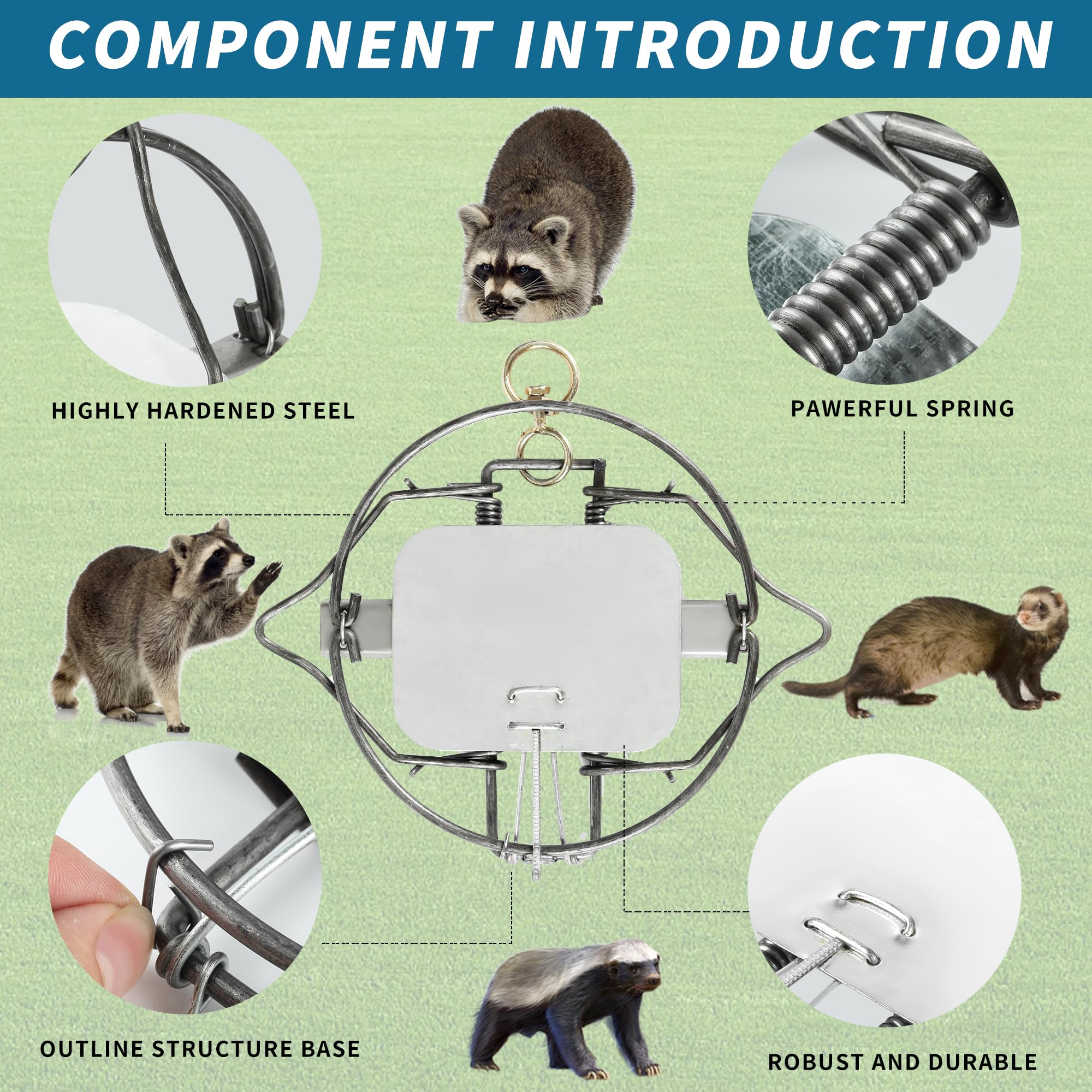 2Pack Live Animal Traps,Animal Spring Traps, Animal Hunting Trap for Raccoon Rabbit Skunk Possum Coyote Fox,7 inches