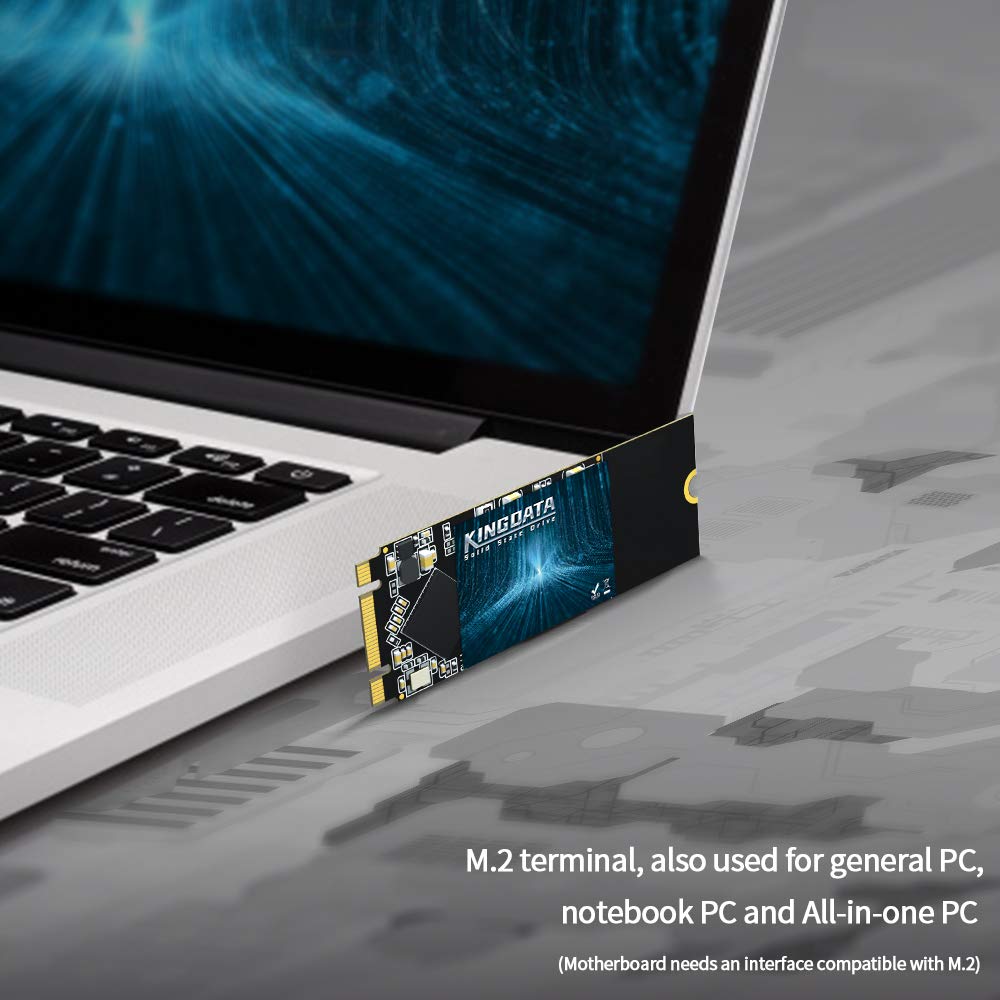 KINGDATA SSD M.2 2260 1TB Internal Solid State Drive High-Performance Hard Drive for Desktop Laptop SATA III 6Gb/s (1TB, M.2 2260)