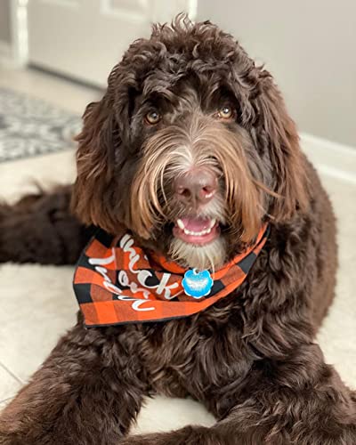 Halloween Dog Bandana -Orange Plaid Pet Scarf