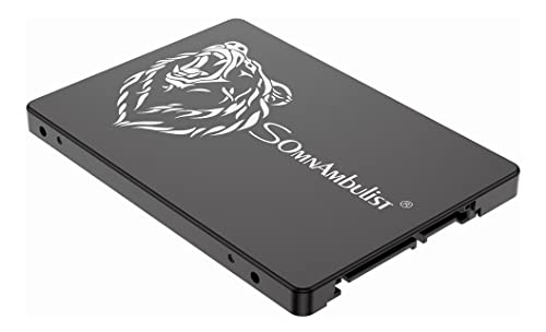 Somnambulist 2.5 inch SATA 3 60GB 960GB 2TB SATA3 SSD Laptop Internal Hard Drive (Black Bear-60GB)