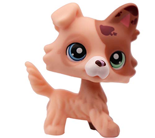 lpsloverqa Butter Collie Yellow and Brown 2 Different Eyes Erect Ears Custom Made OOAK Pets with Accessories Lot Dog Figures Collection Boys Girls Kids Gift Set (Butter Yellow)