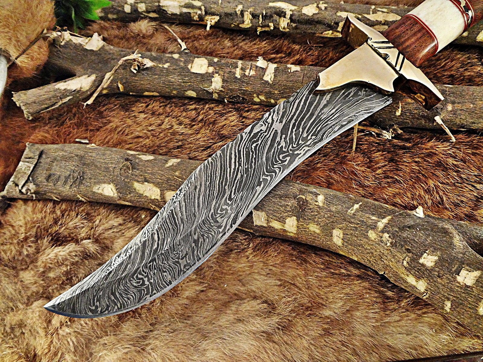15" Long hand forged Damascus steel hunting Knife, Natural camel Bone and Walnut wood with engraved brass handle, Cow hide Leather sheath with belt loop