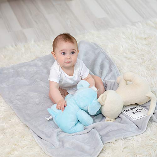DEZANBO Baby Blanket for Boys Gilrs, Baby Blankets for Newborn,30”X 40”-Super Soft Fluffy Flannel,Great for Baby Showers, Light Grey