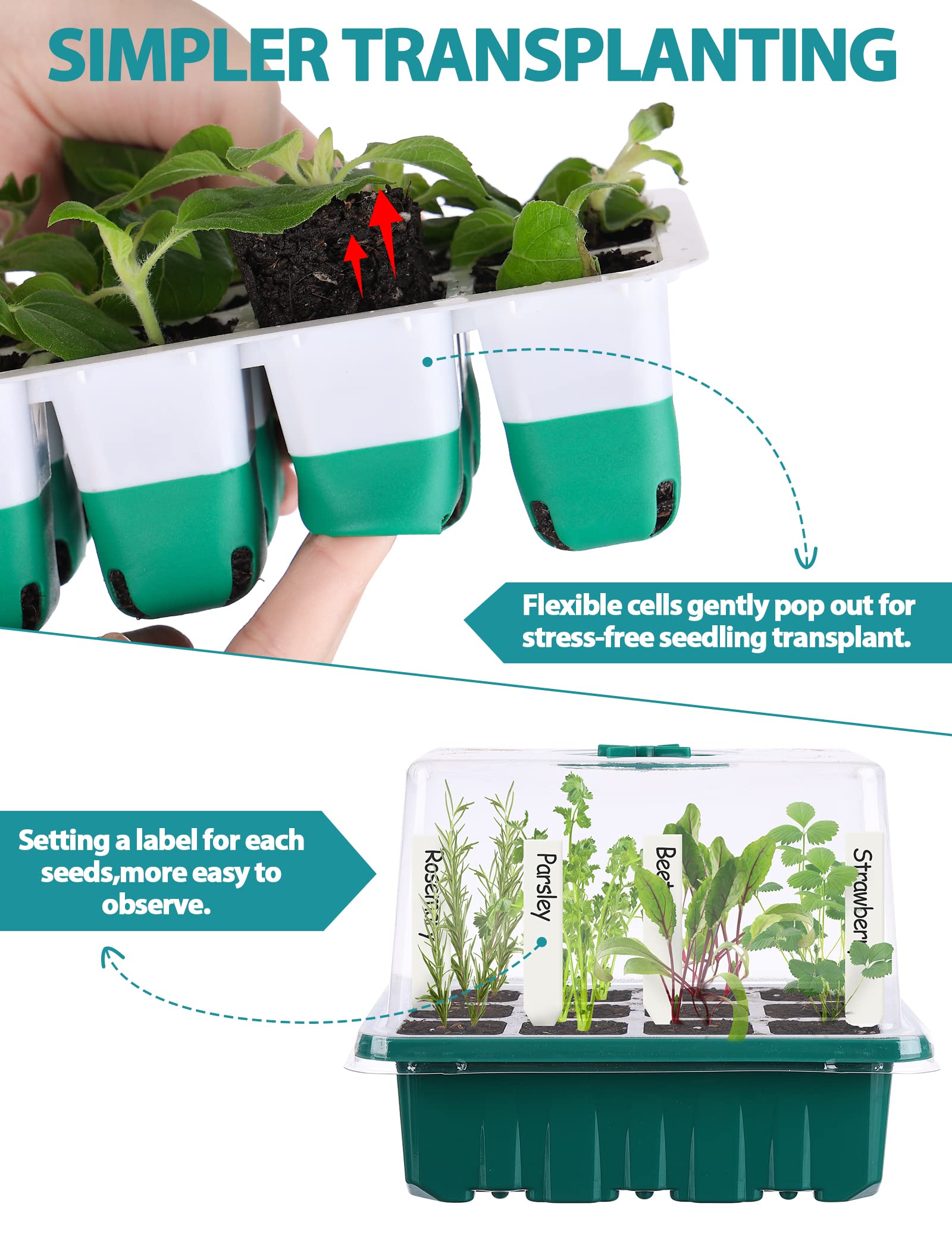 2 Packs Reusable Seed Starter Tray Kit with Humidity Dome, 12 Cell Seed Starting Tray(24 Cell Total Tray) for Starting Vegetable Seeds, Flower Seeds, Herb Seeds, Indoor Grow Kit for Plant Seedlings