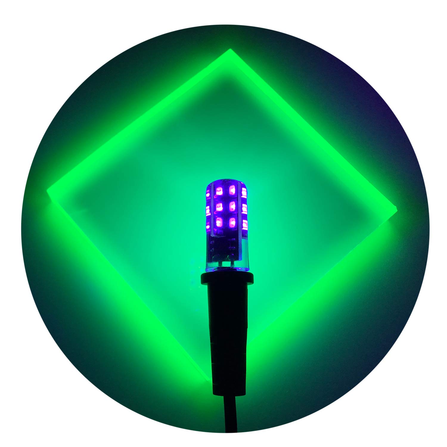2 Kits Blacklight LED Special Effects Lights for Props Scenery Fluorescent Glow Paints pigments 12V DC Battery Operated Low Voltage Ultraviolet Black Lights