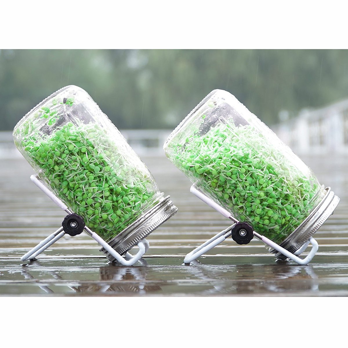 2 Pack Foldable Stainless Steel Sprouting Stands for Mason Jar Pot Lid Drain Tablet Rack with Non-slip Scaffolds
