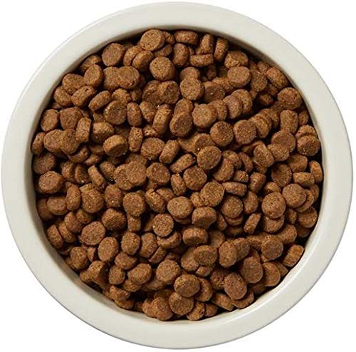 Amazon Brand – Wag Dry Dog Food, Salmon and Brown Rice, 30 lb Bag (Packaging May Vary)