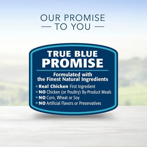Blue Buffalo Indoor Health Dry Cat Food, Chicken & Brown Rice, 5 Lb