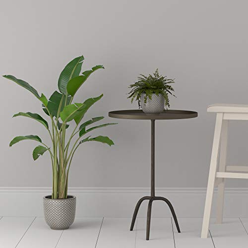 Amazon Brand β Stone & Beam Textured Stoneware Planter, 5.1"H, Ivory