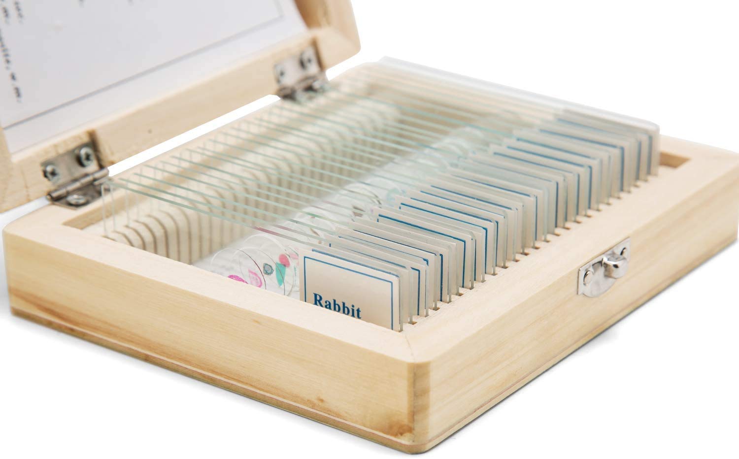 25pc Assorted Specimen Collection of Prepared Microscope Slides Glass Slide