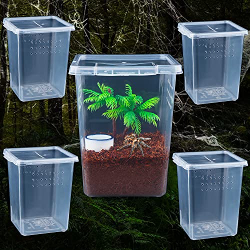 5 Pack Spider Terrariums Breeding Box Insect Hatching Container Acrylic Breeding Box for Arboreal Spider Tarantula Mantis Scorpion Centipede Small Reptiles