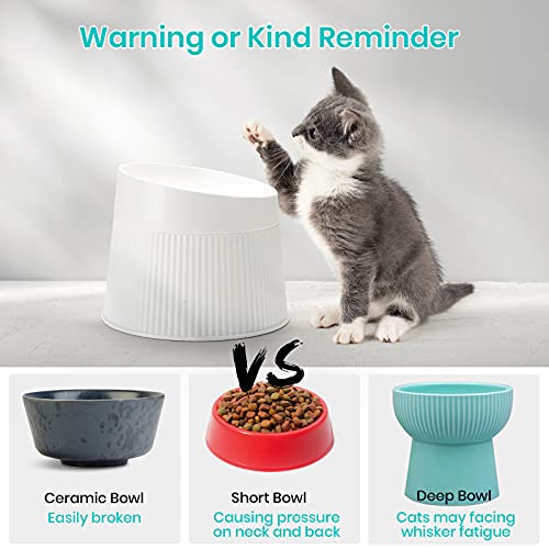 iPettie Elevated Cat Food Bowl Cat Dish, Tilted Pet Feeding Station with Stand for Small Dog, Made from Certified Food-Safe Plastics, Better Than Stainless Steel and Ceramic
