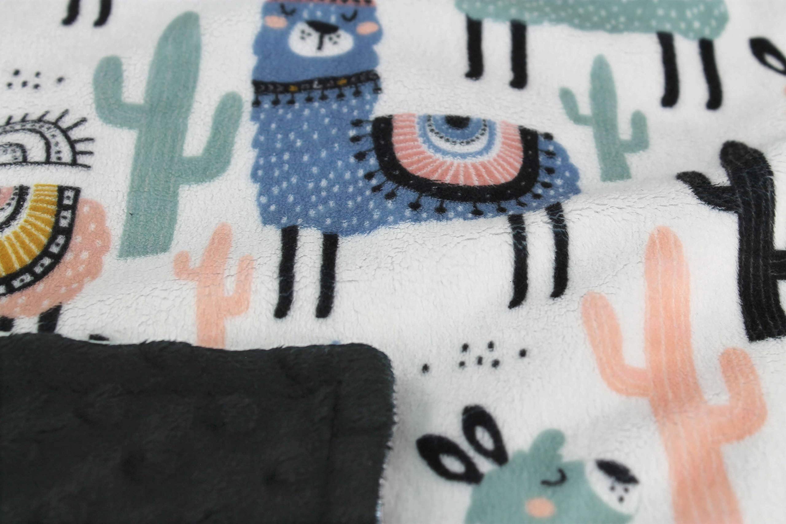 Baby Car Seat Canopy Cover - Emperor Llamas with Black Minky Dot