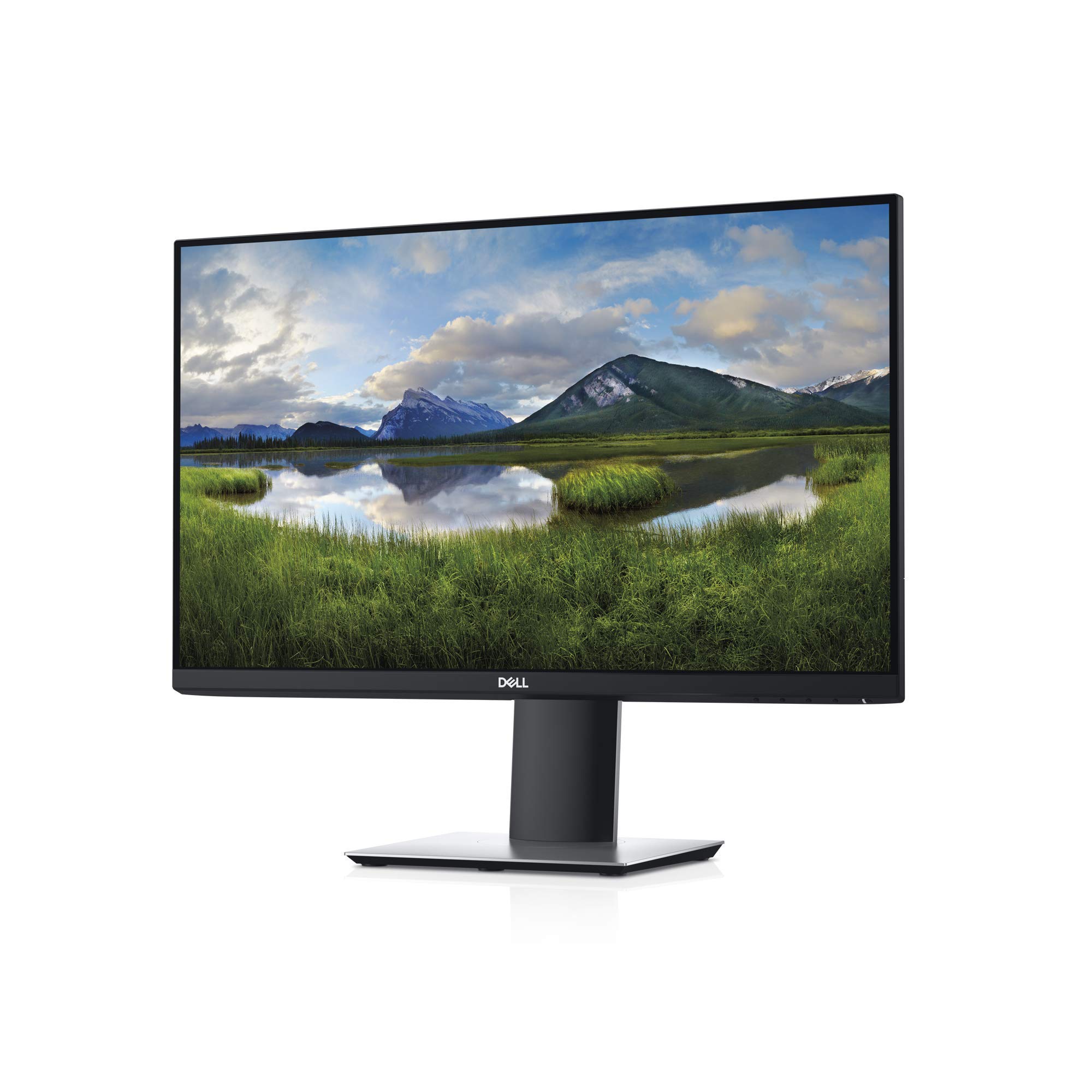 Dell 24IN USB-C Monitor P2419HC (Renewed)