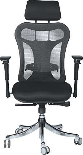 Balt Ergo EX Executive Mesh Office Chair, Ergonomically Adjustable, 28-Inch by 24-Inch by 51-Inch, Black (34434)