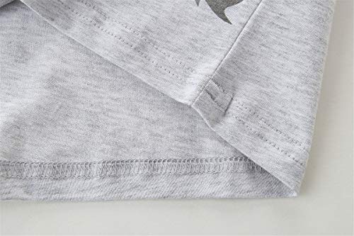 Toddler Boys Short Sets Summer Outfits Cotton Casual Crewneck Grey Fish Short Tee Shirt Knite Shorts Beach Clothes Sets 2T