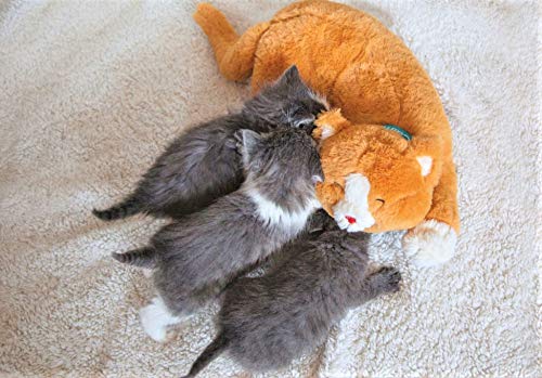 Calmeroos Cat Heartbeat Toys - Calming Separation Anxiety Relief Toys for Kittens - Heartbeat Simulator in a Soft Comforting Pillow Pet Plush