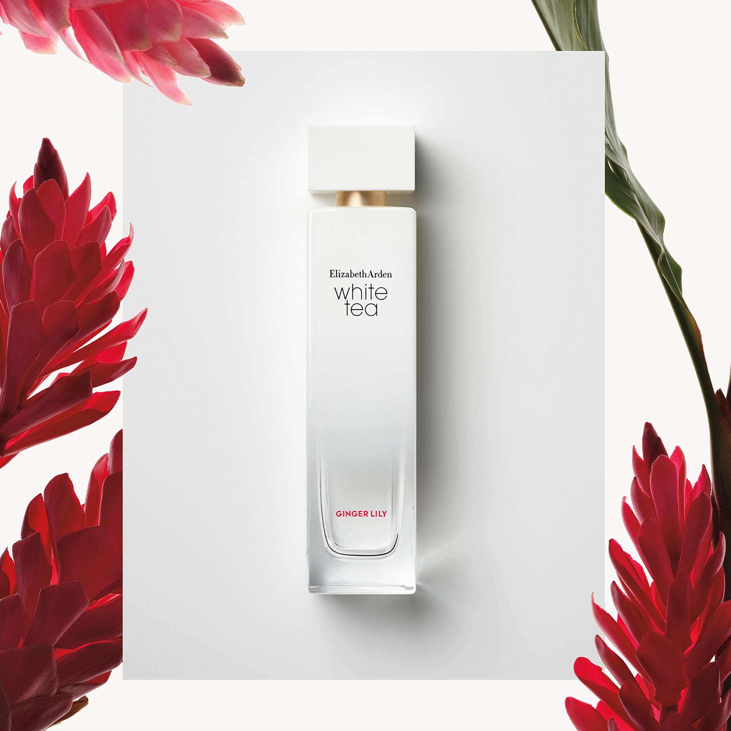 Elizabeth Arden White Tea Ginger Lily Body Cream, Moisturizing & Hydrating with Shea Butter, 13.5 oz.
