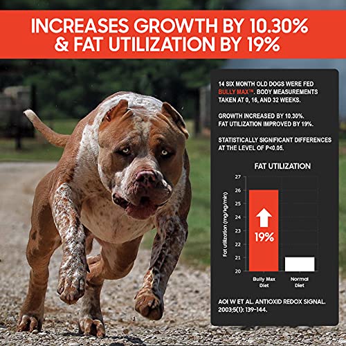 Bully Max 3-IN-1 Liquid Muscle Building Supplement For Dogs. For all breeds & ages. Clinically tested. #1-rated since 2008