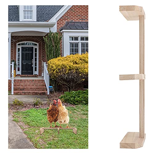 3 pcs Brooder Stand Horse Pet Accessories Chicks Single Toys Hens Swing Chick Standing Wood Pigeon Parrots Training Big Bar, Supplies Perch- Coop and Trainning for Garden