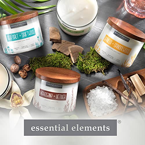 Essential Elements by Candle-lite Scented Candles, Mahogany & Vetiver Fragrance, One 9 oz. Single-Wick Aromatherapy Candle with 50 Hours of Burn Time, Off-White Color