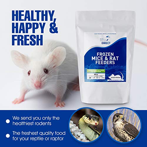 MiceDirect 15 Jumbo Rats: Fresh Fast Frozen Food for Corn Snakes Ball Pythons