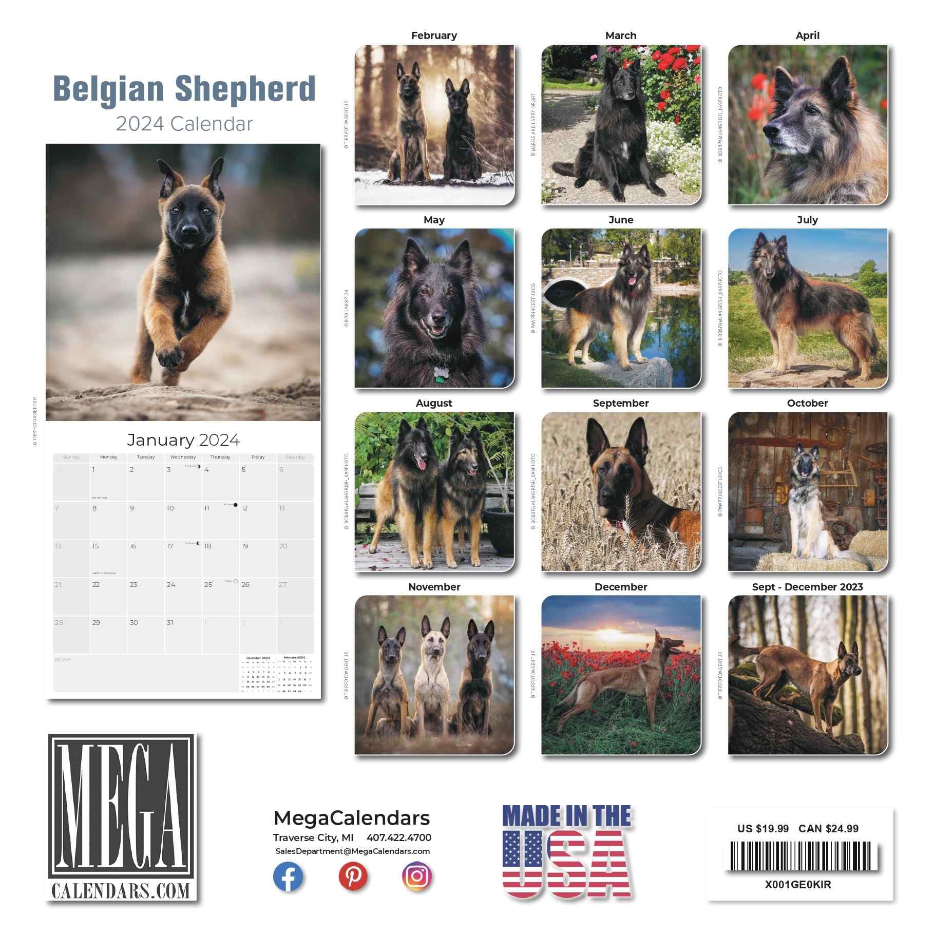 2023 2024 Belgian Shepherd Calendar - Dog Breed Monthly Wall Calendar - 12 x 24 Open - Thick No-Bleed Paper - Giftable - Academic Teacher's Planner Calendar Organizing & Planning - Made in USA