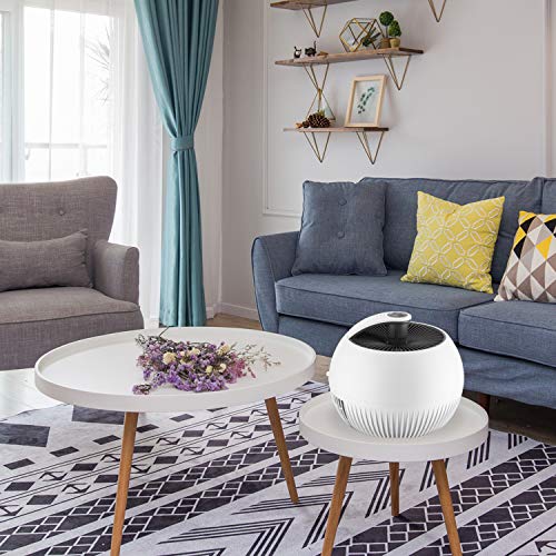 Diophros 3-in-1 Air Purifier with 3 Fan Speeds Ultra Quiet Air Clean for Home