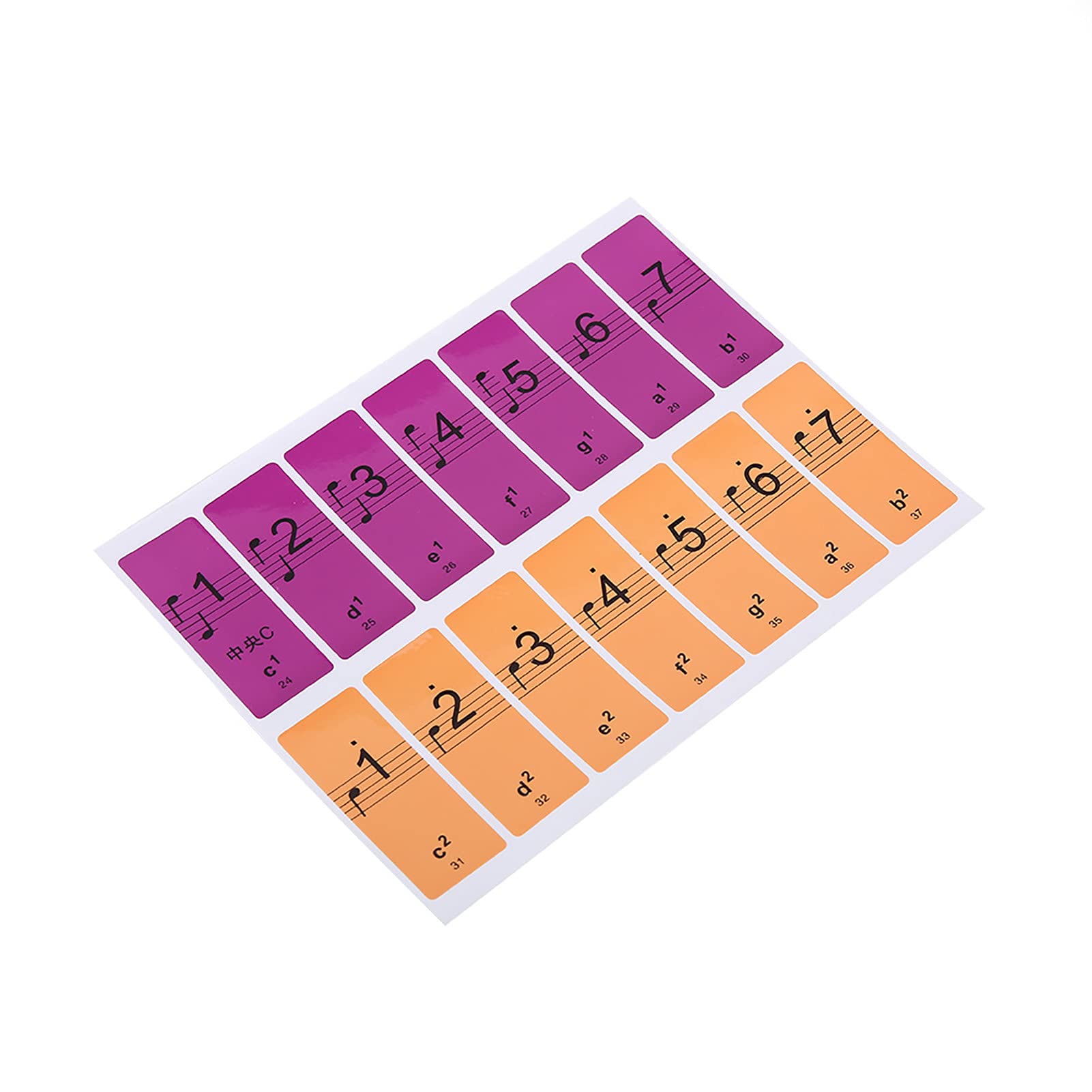 2 in 1 Design Piano Beginner Sticker, 2 Color Removable Piano Sticker, for Piano Piano Keyboard(Colorful)