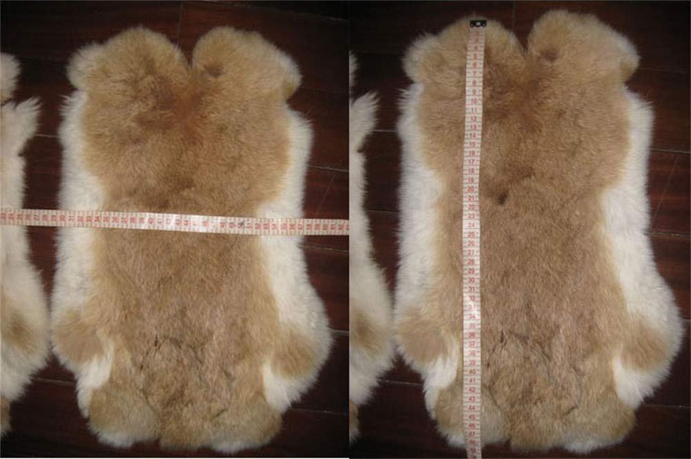 4pack Natural Tanned Rabbit Fur Pelt Real Rabbit Skin Hide Pelts (10" by 12" Rabbit Pelt with Sewing Quality Leather) (Natural Yellow Tanned)
