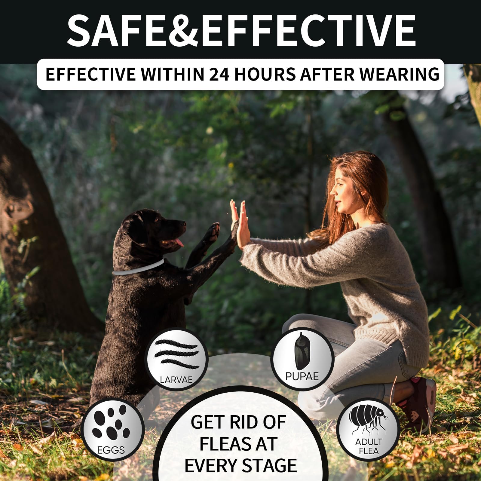 4 Pack Flea Collar for Dogs, Dog Flea and Tick Collar 32 Months Flea and Tick Treatment for Dog, Waterproof Adjustable Dog Flea and Tick Prevention Collar for Small Medium Large Dog Puppy, Black Grey