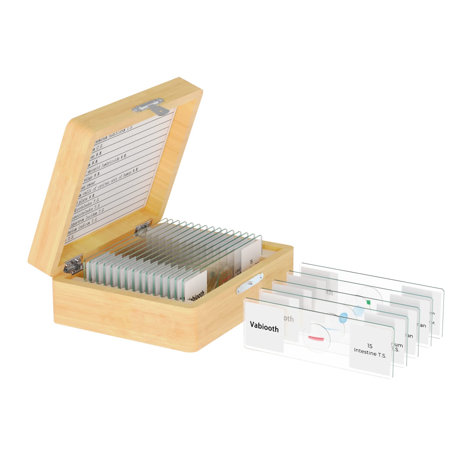 15 Pcs Vabiooth Prepared Microscope Slide Set, Glass Slides with Specimens and Hinged Wooden Case for Basic Biological Science Education, Animals Insects Plants Flowers Bacterium Specimens
