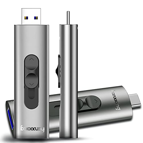 1TB USB SSD Solid State Flash Drive 550MB/s Super-Fast Transfer Speed USB 3.2 Gen1 Dual Interface USB Type-C Thumb Drive Memory Photo Stick for OTG Type-C Android phone, PC, Mac, Laptop(Silver Gray)